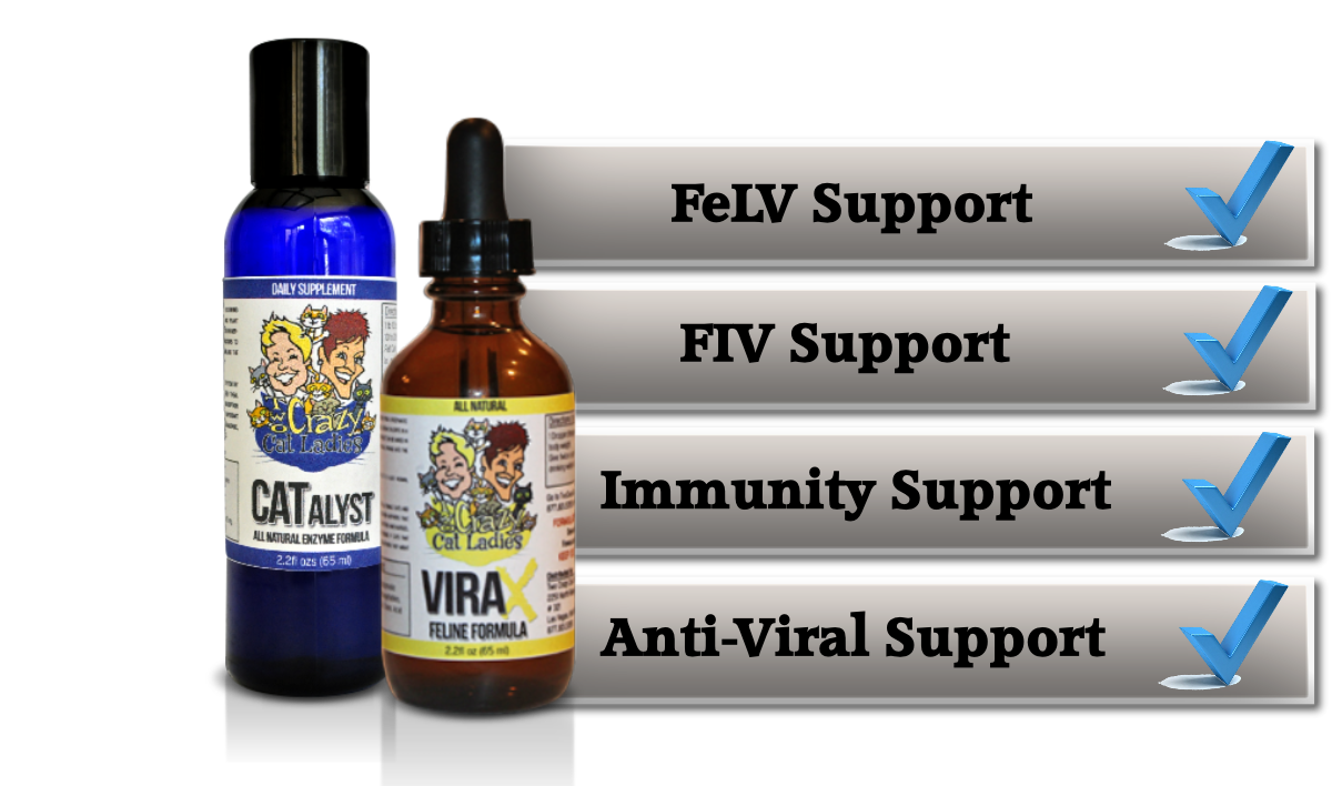 FeLV Program for Cats | Two Crazy Cat Ladies