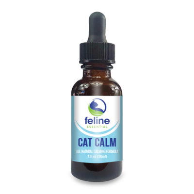 Cat Keeping You Awake At Night - Two Crazy Cat Ladies