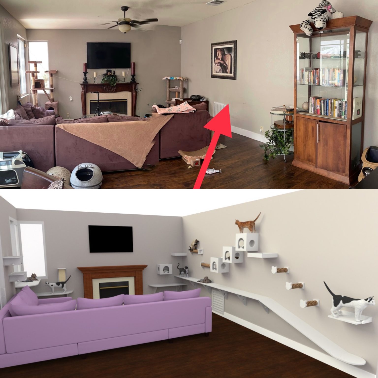 Are You Ready To Catify Your Home Two Crazy Cat Ladies