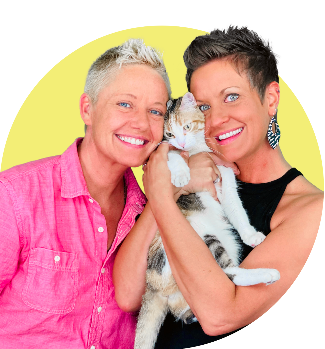 Home - Two Crazy Cat Ladies