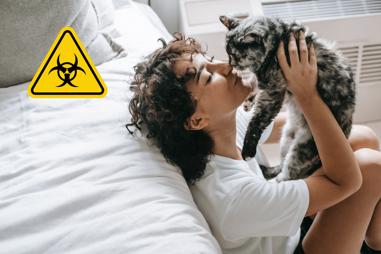 Why Cats Are The Most Toxic Pets - Two Crazy Cat Ladies
